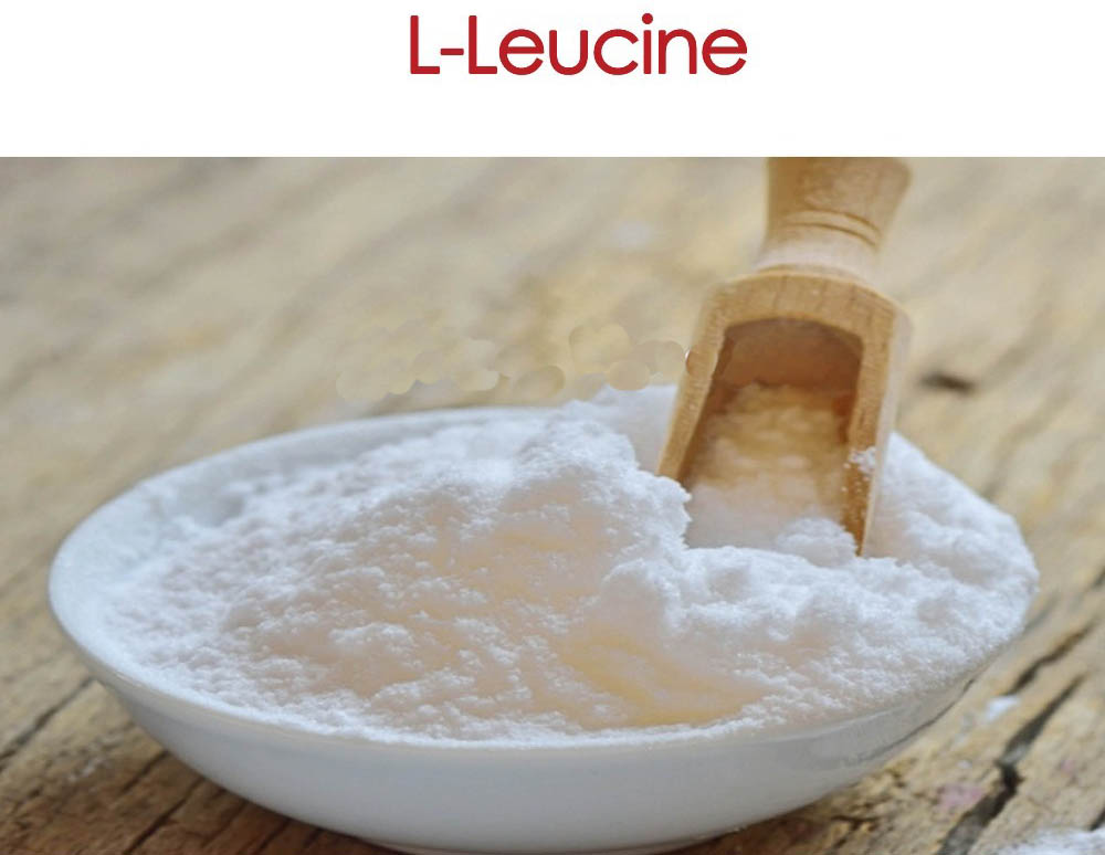 Leucine tối ưu và vai trò trên cá nuôi
