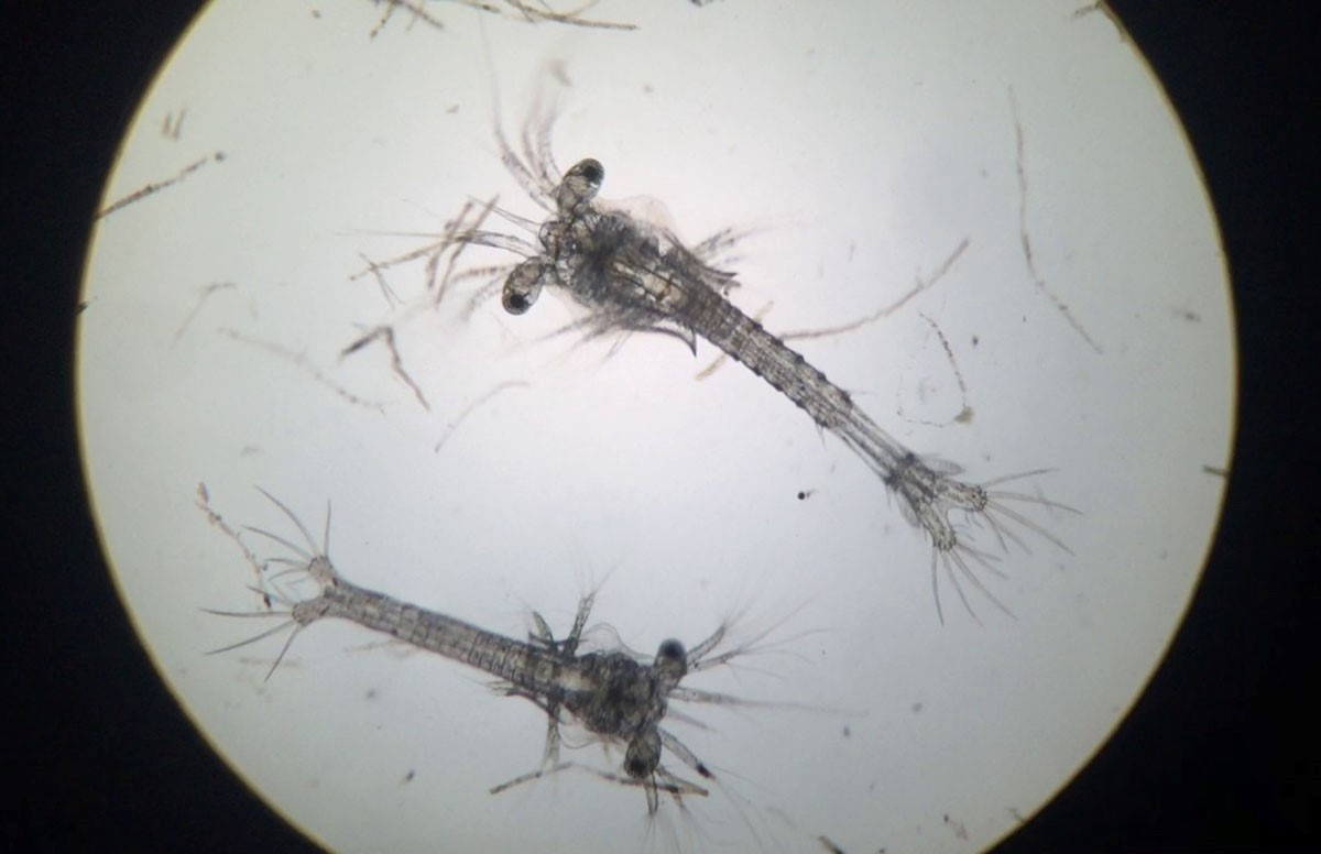 Những điều cần biết để xây dựng một chương trình dinh dưỡng hợp lý ...