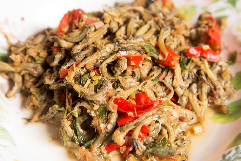 Lạ lùng món nòng nọc ếch ở Thái Lan