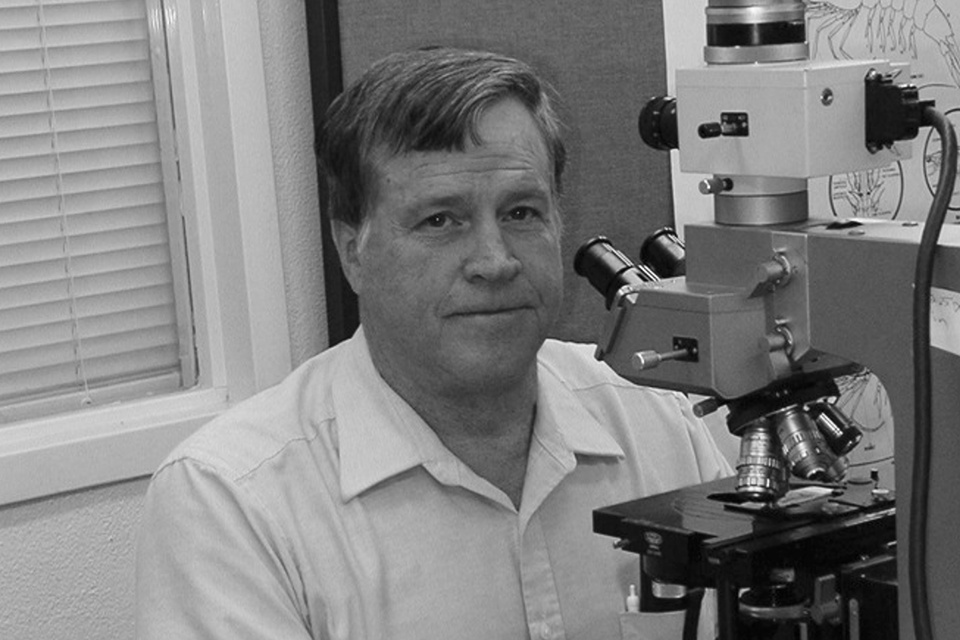 Top 10 công ty xuất khẩu thủy sản lớn nhất Việt Nam