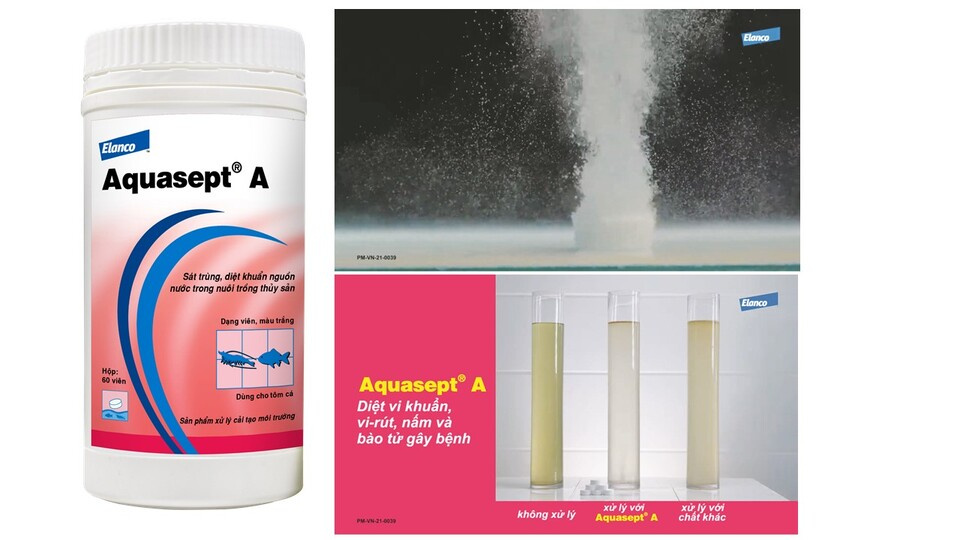 Aquasept® A – Sát trùng nước nhanh, an toàn sử dụng - Tepbac