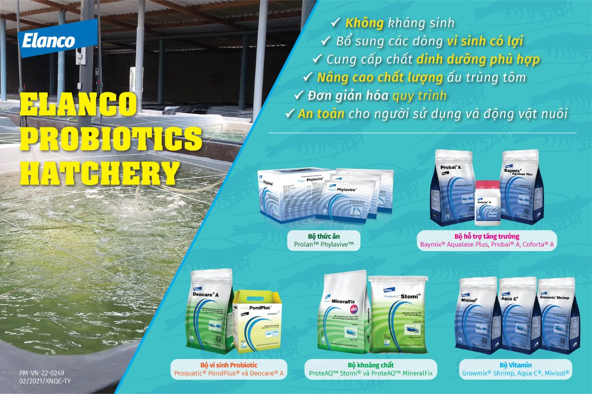 Các chỉ tiêu đánh giá chất lượng tôm giống - Tepbac