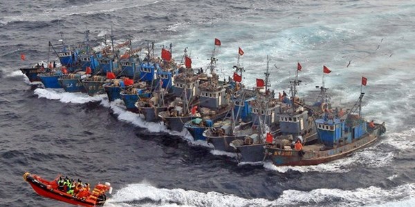 Cộng đồng quốc tế kêu gọi hợp tác chống khai thác bất hợp pháp (IUU)