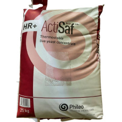 ACTISAF - Nấm men đậm đặc