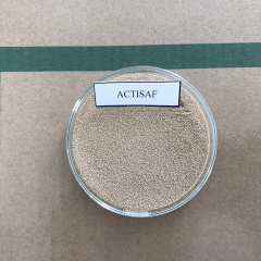 ACTISAF POWDER: nấm men đậm đặc, độc đáo dạng bột