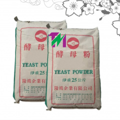 ACTISAF POWDER: nấm men đậm đặc, độc đáo dạng bột