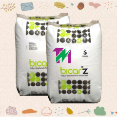 Bicar Z (Bicar Thái) - Nguyên liệu Sodium bicarbonate (NaHCO3)