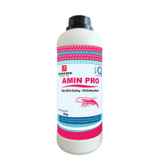 AMIN PRO siêu dinh dưỡng, tốt đường ruột