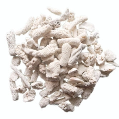 Đá San hô lọc nước